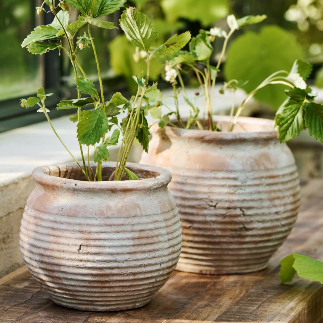 Skjuler med riller Margot – plint.dk