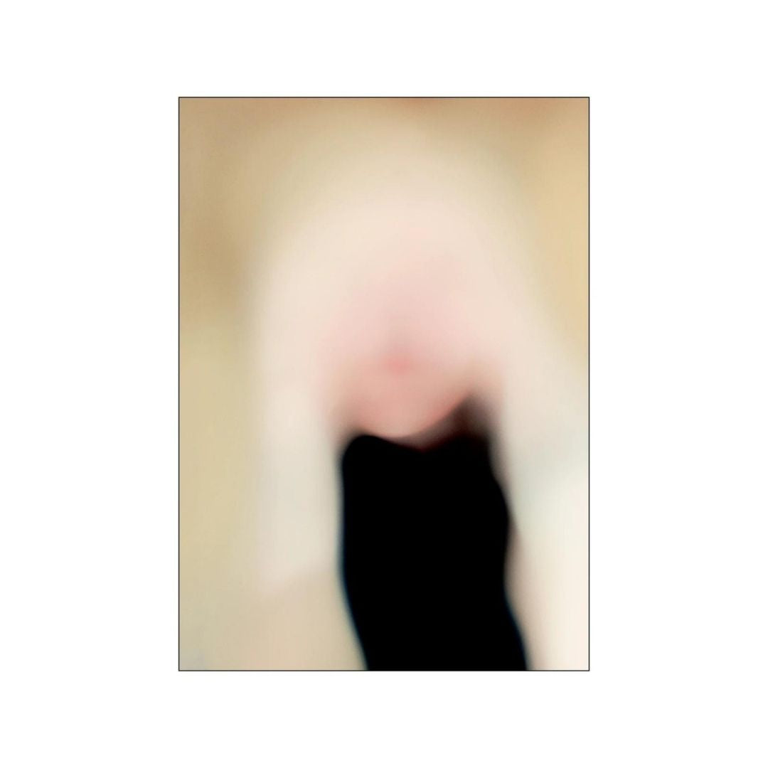 Plakat Portrait V 30x40 cm – plint.dk