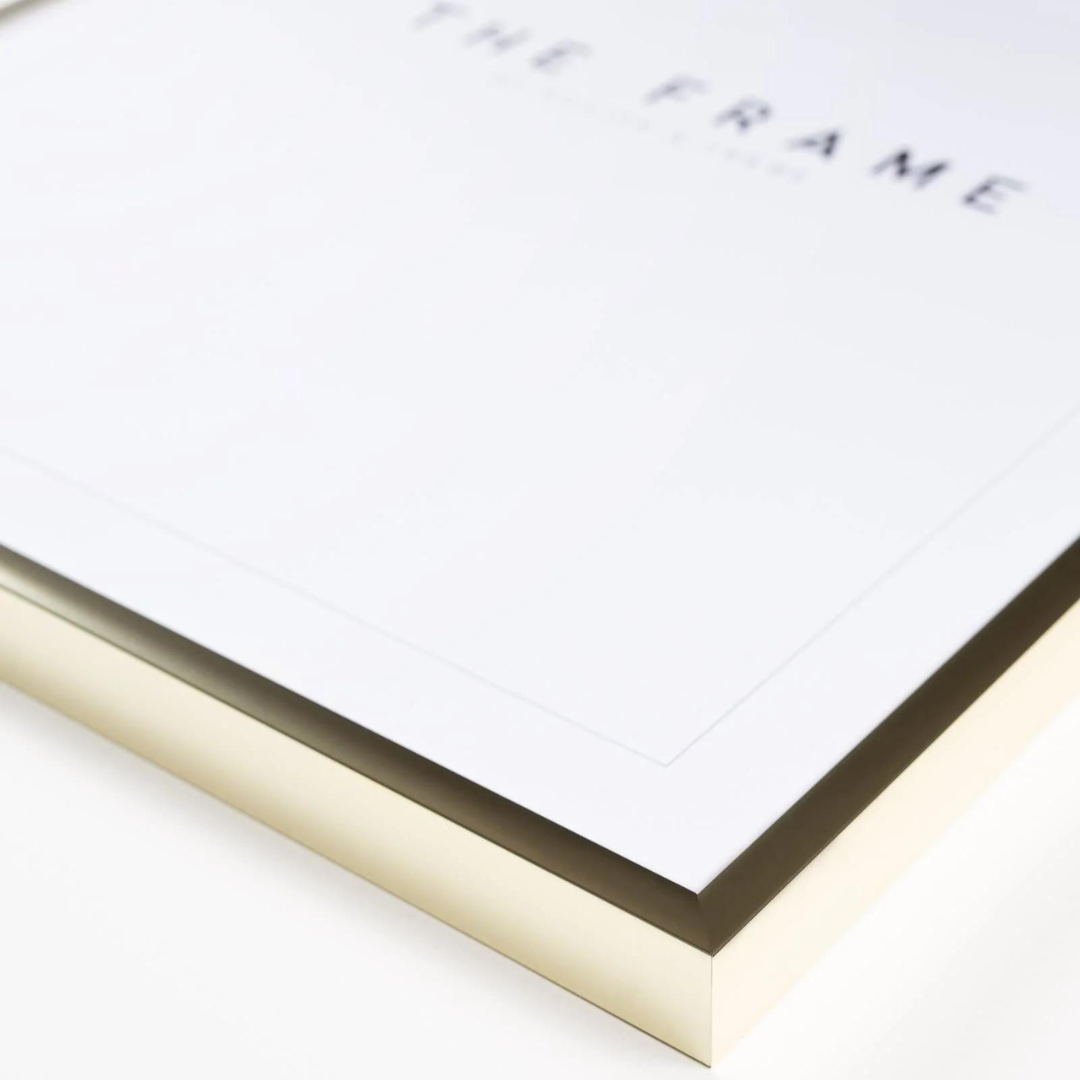 Ramme Guld – plint.dk